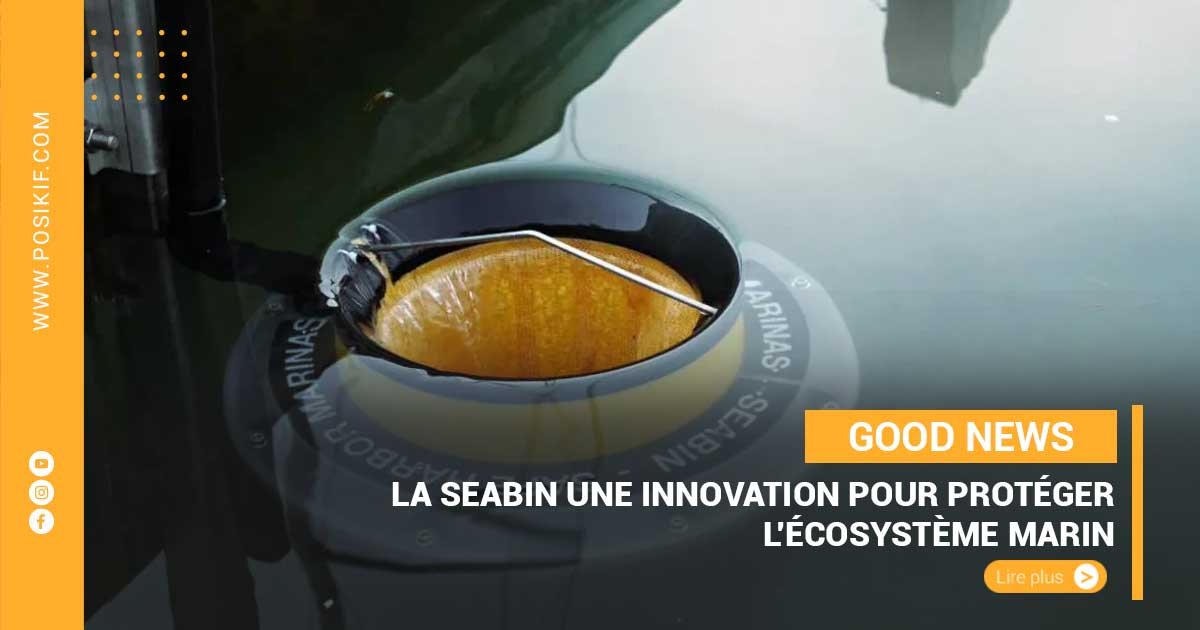 La seabin une innovation pour protéger l'écosystème marin - Posikif
